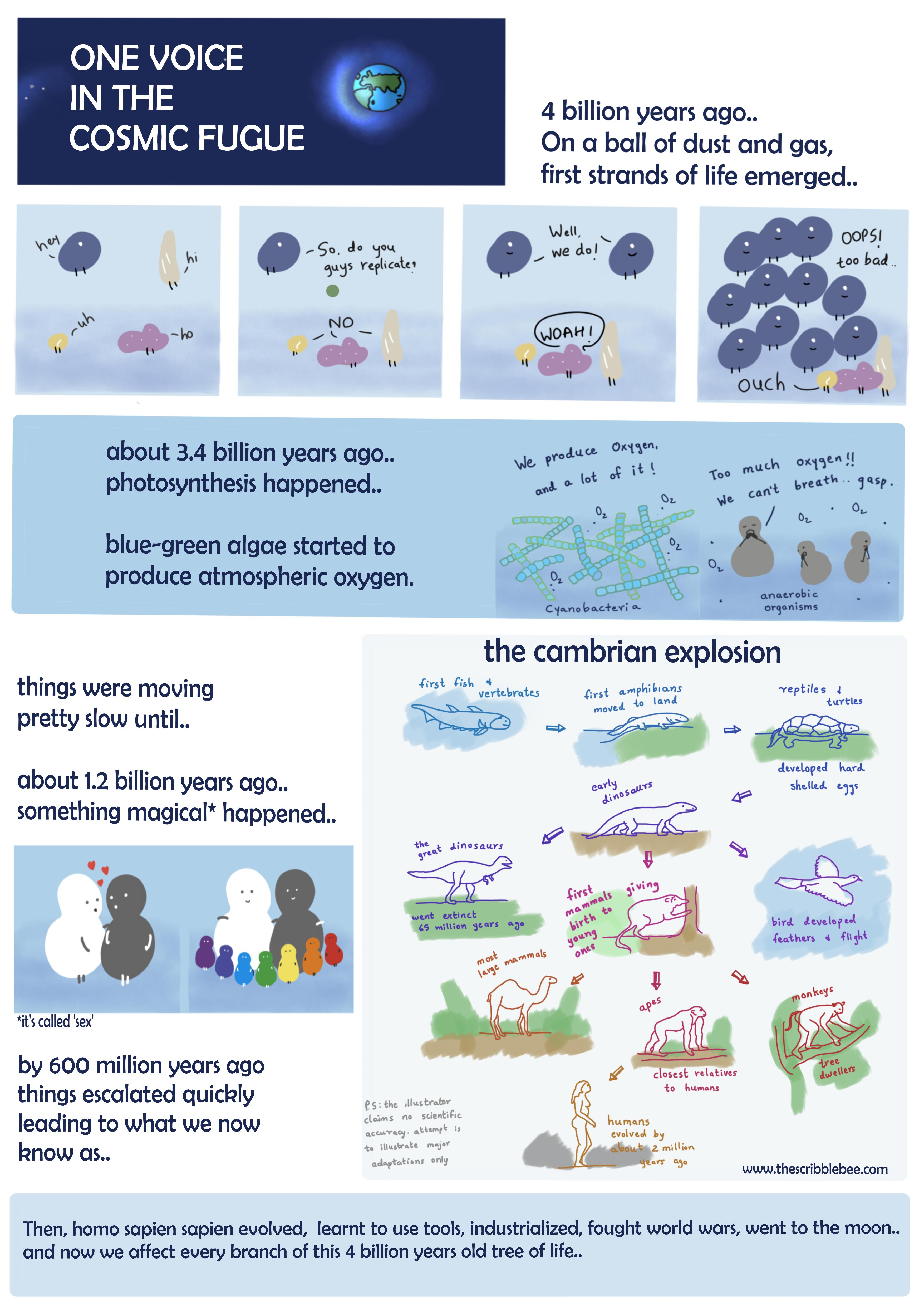 One Voice in the Cosmic Fugue – The Scribble Bee